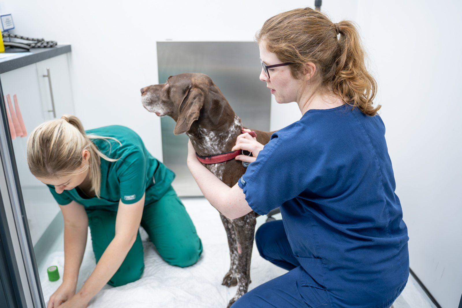 Meet the Team | Valley Vets