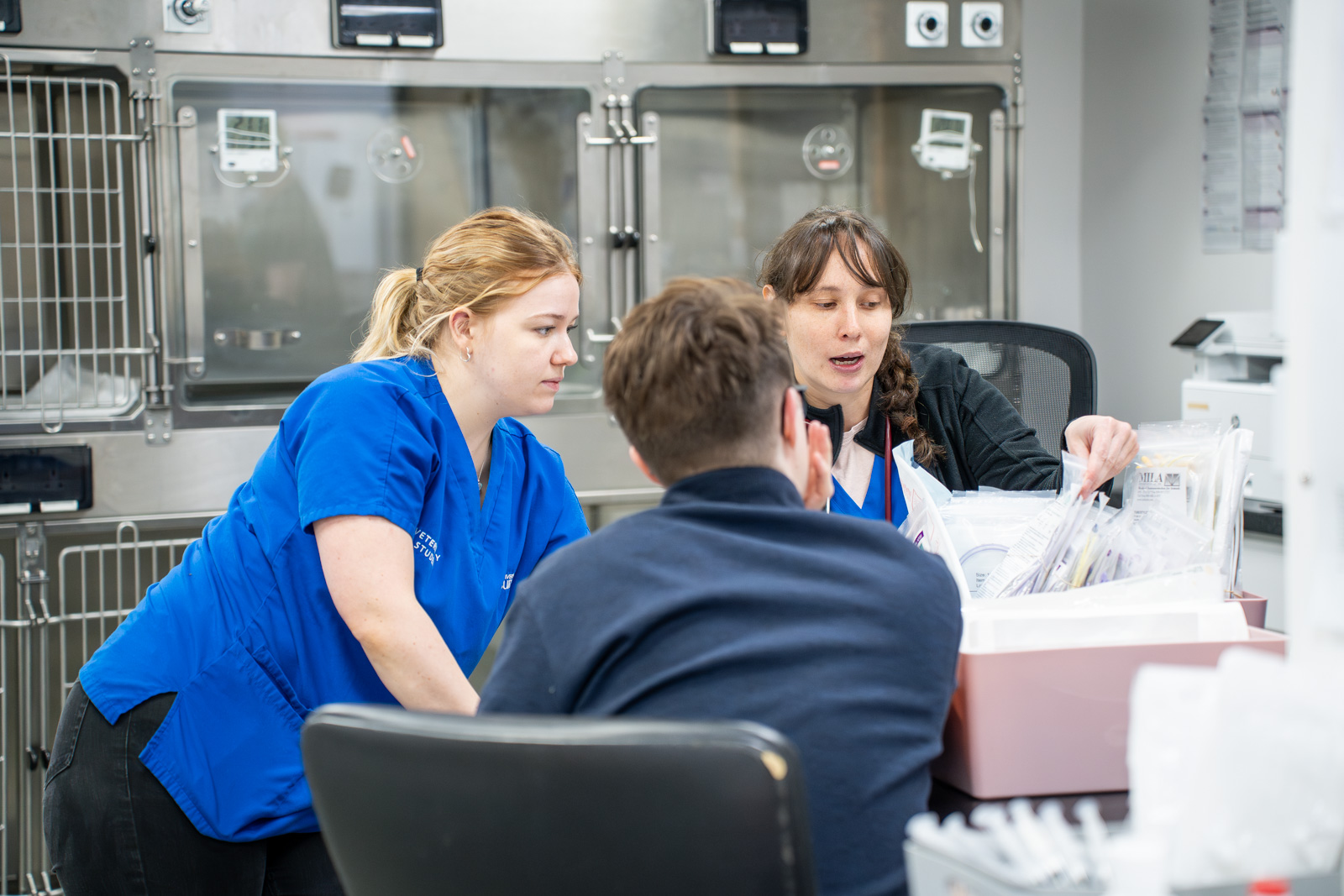 Careers & Vacancies | Valley Vets